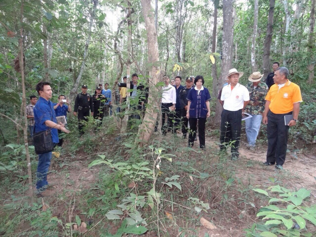 กระแจะ – สำนักจัดการป่าชุมชน