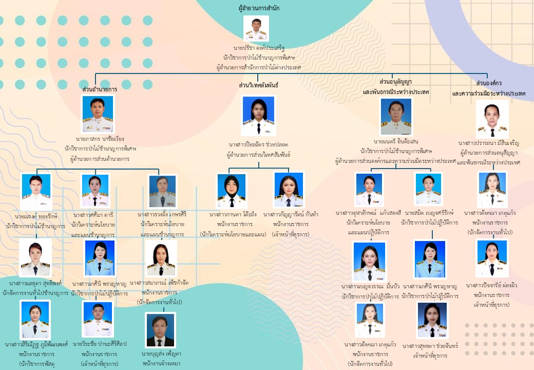 Organization Charts – สำนักการป่าไม้ต่างประเทศ
